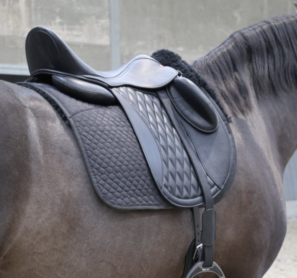 Edix | Sam's Saddle Service
